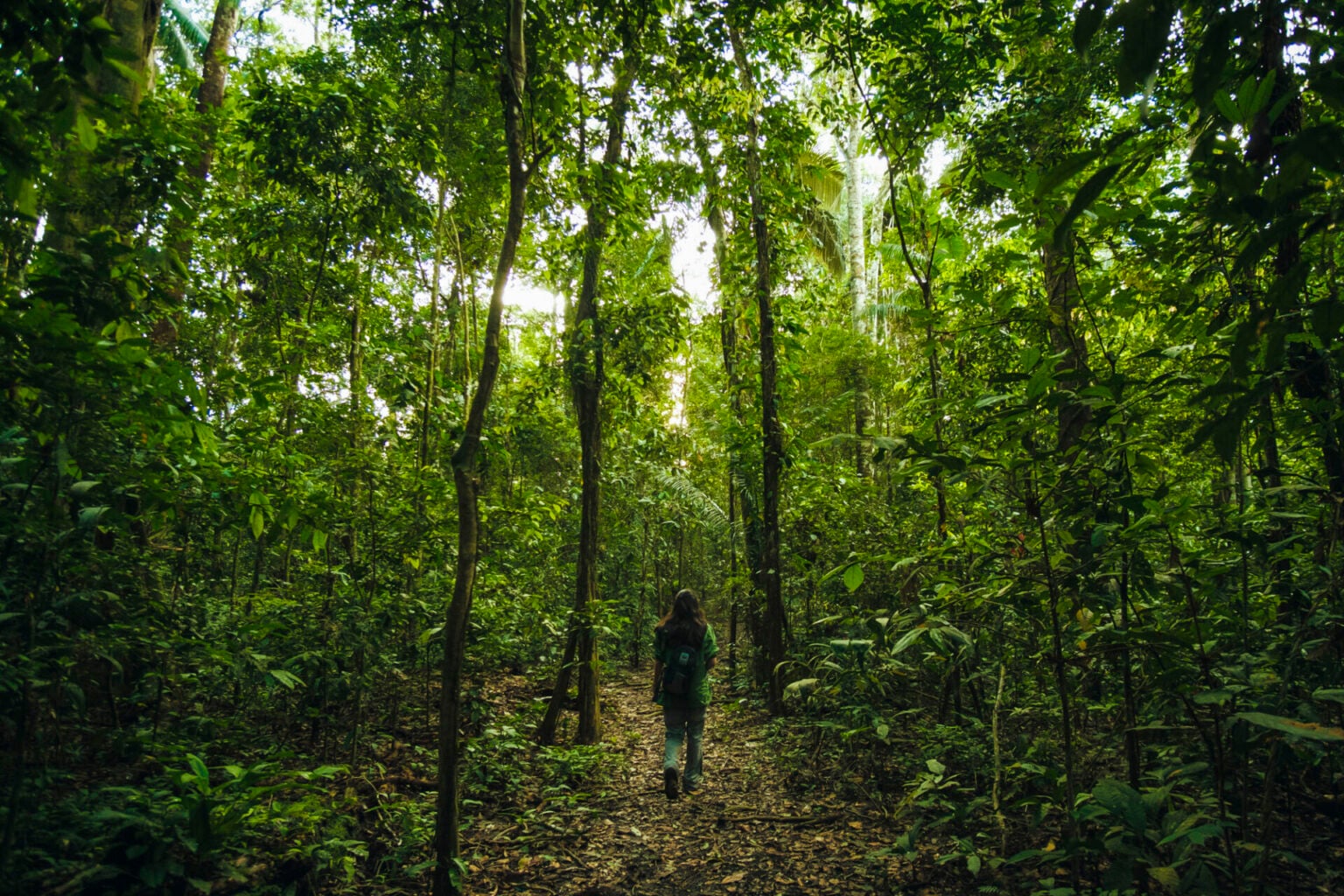 Immersion 4 jours en Amazonie, trek sur le Chemin Inca jusqu’à la Porte ...